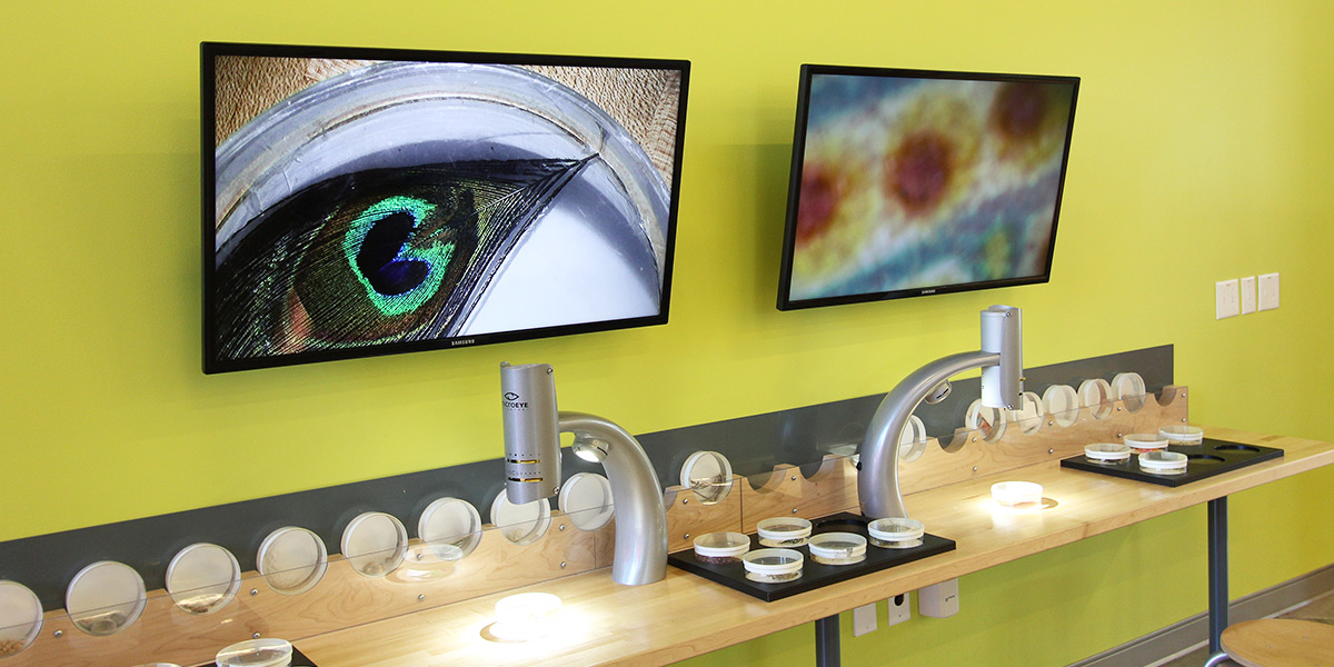 Thinkery - Austin Children's Museum – Ford AV